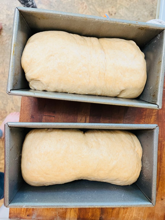 Easy Weekend Bread – Art Farm Oregon