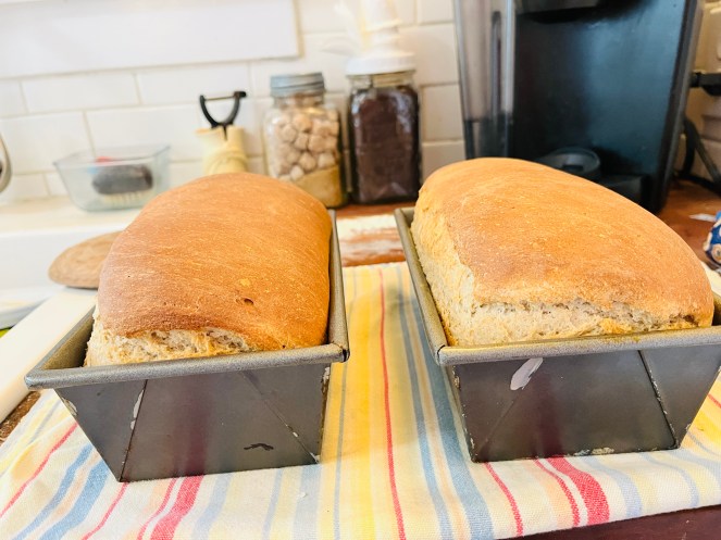 Easy Weekend Bread – Art Farm Oregon